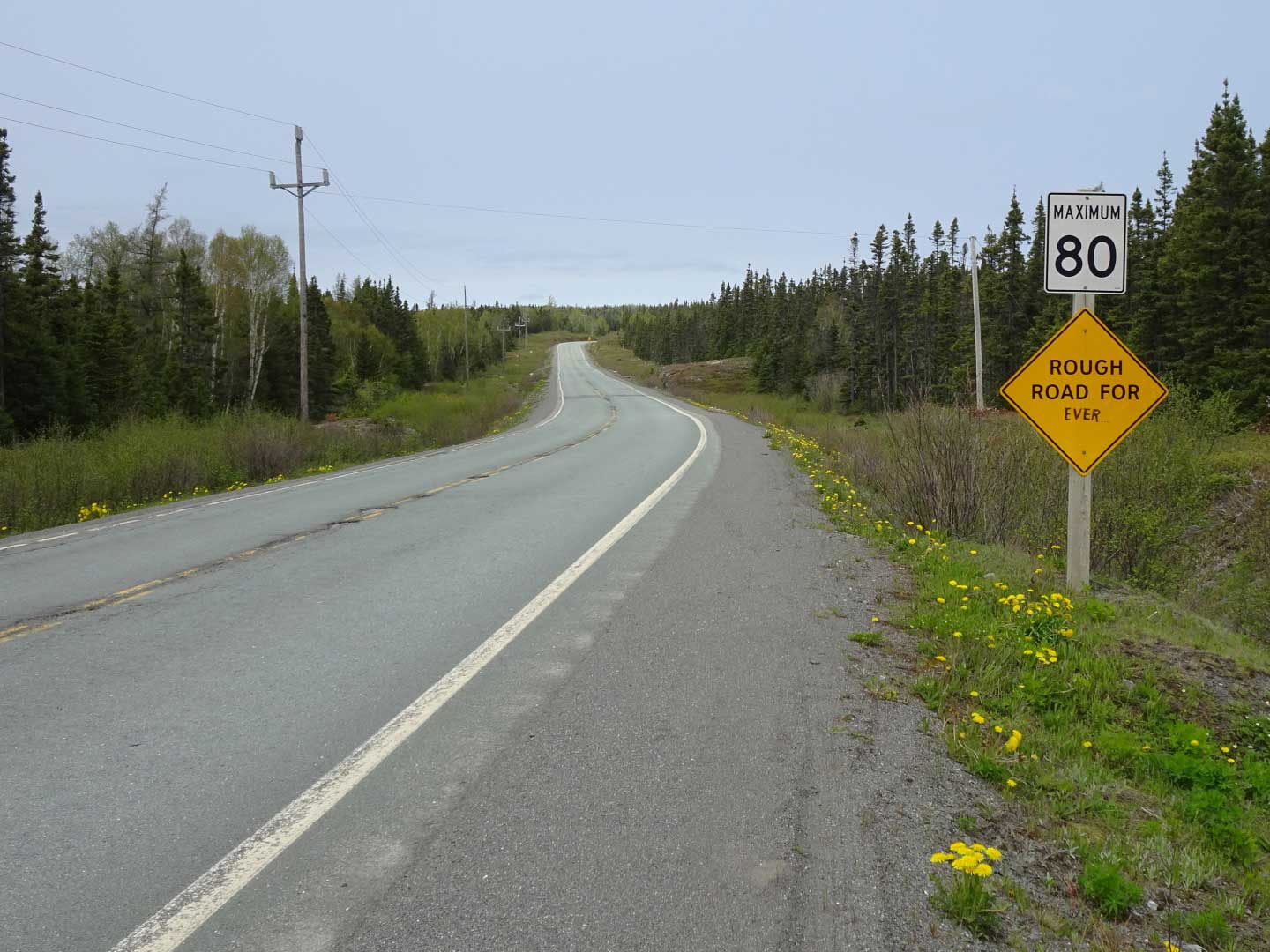 Theme Night 2023 | 2024 - DMCC